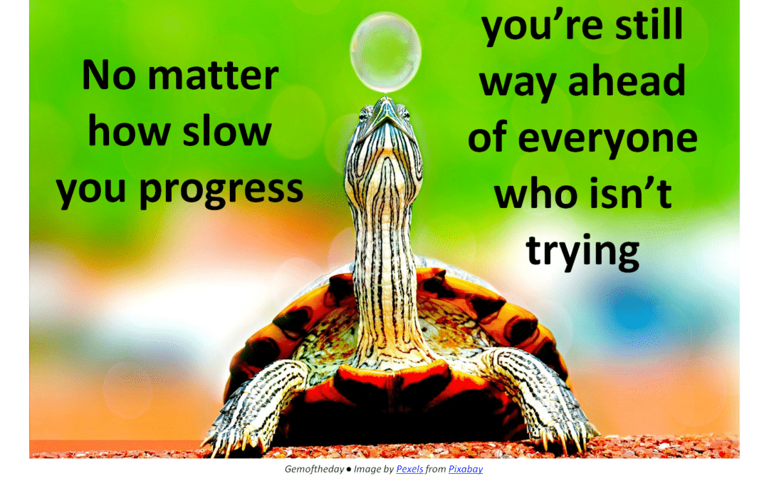 Inspiration for the Week - Slow Progress is Still Progress - Optometry ...
